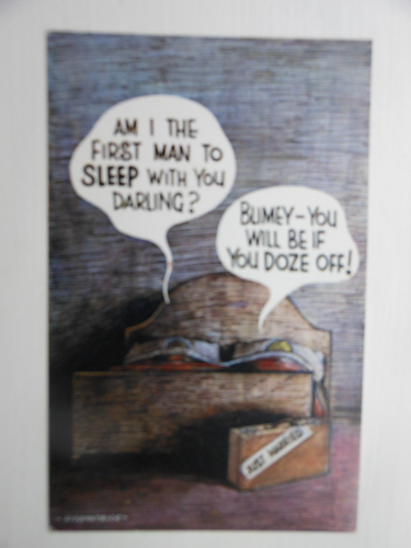 Vintage Saucy Seaside Comic Postcard BAMFORTH BLACK TRIANGLE NO 2490 ...