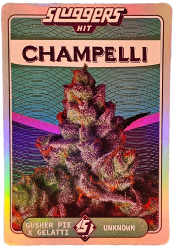 Limited Edition Mac Dre Champelli Series Short Print Foil Mini Trading ...