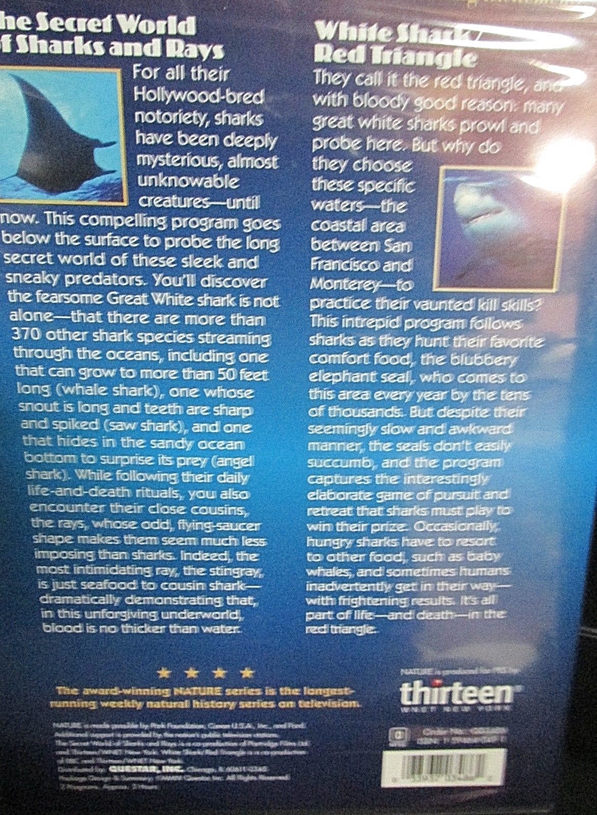 In the Company of Whales,NEW! DVD, Discovery Channel,Educational Nature ...