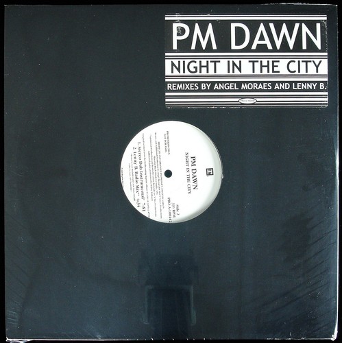 PM DAWN "NIGHT IN THE CITY" 2000 VINYL 12" PROMO PRO-A-100442 ~RARE ...