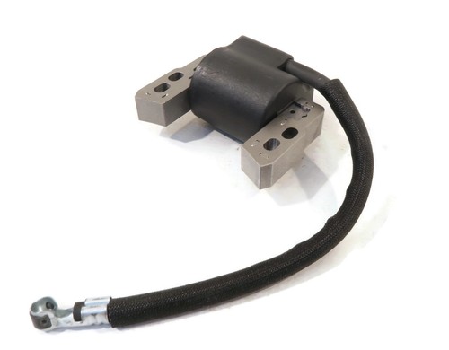 Ignition Coil for Briggs & Stratton fits 123457, 123452, 126302, 126312 ...