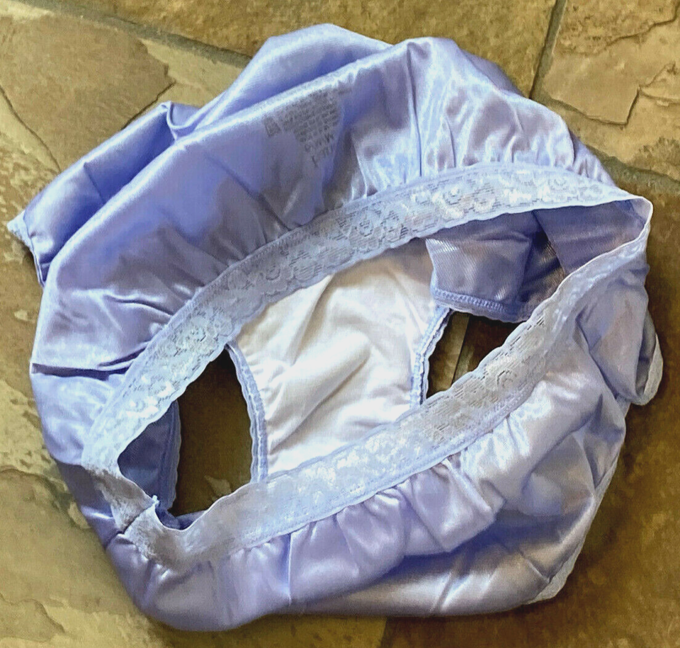 HANES Medium Sky Blue Silky Smooth Semi Sheer Nylon Hi Cut Brief ...