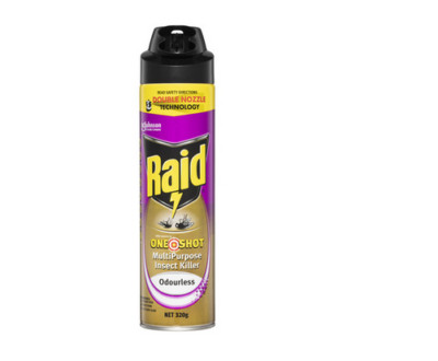 Raid One Shot MULTI PURPOSE INSECT KILLER - ODOURLESS - 320g - FREE ...