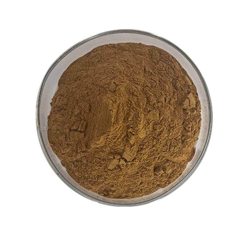200g Fucus vesiculosus L Bladderwrack 30:1 Extract Powder | eBay