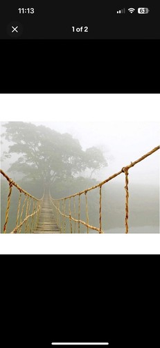 IKEA BJORKSTA Wall Art Jungle Journey CANVAS ONLY 55”x39” | eBay