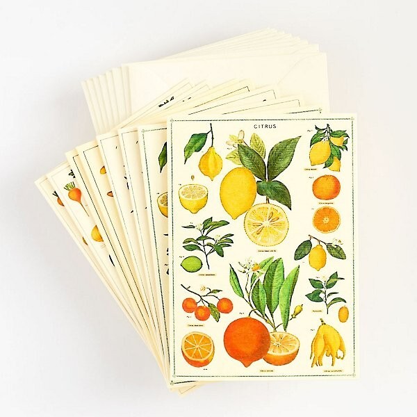 Cavallini & Co., "Jardin" Boxed Note Cards, Box of 8 | eBay