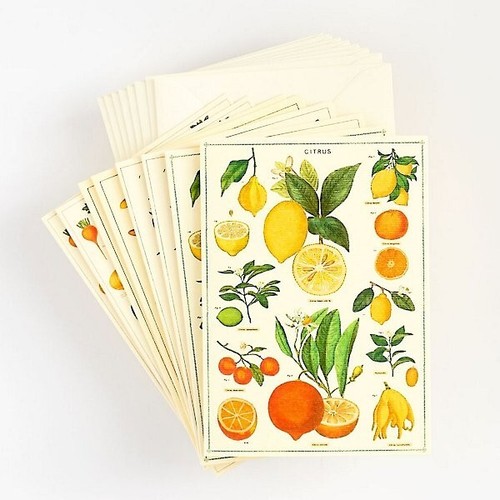 Cavallini & Co., "Jardin" Boxed Note Cards, Box of 8 | eBay