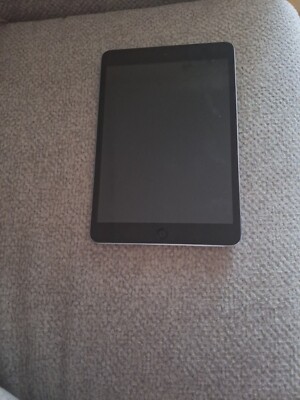 Apple iPad mini (5th Generation) A2133 256 GB, Wi-Fi, 7.9 in - Space ...