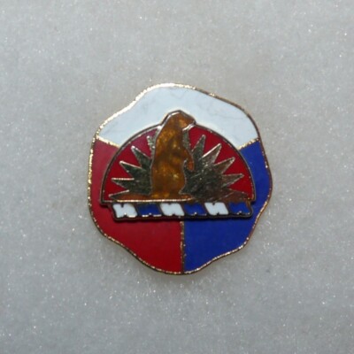 Vintage US Army 41st Infantry Brigade (Oregon ANG) DUI Crest | eBay