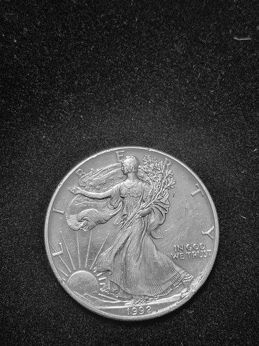 1992 Walking Liberty American Eagle 1 Oz. Fine Silver Coin | eBay