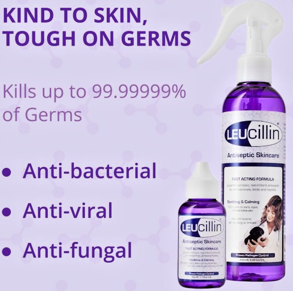 LEUcillin Antiseptic Spray for Dogs,Cats and all animals 150ml,250ml ...