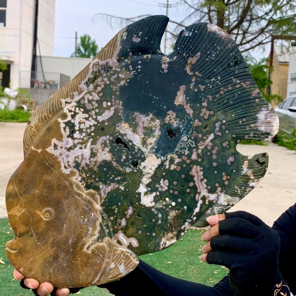 5.29LB Amazing natural marine jasper crystal carving fish jasper aura ...
