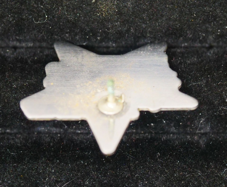 Professional Bull Riders Team PBR 2007 Rodeo Collectors Pin Includes ...