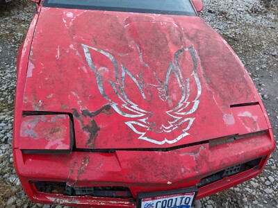 1982 - 1992 Pontiac Firebird Trans Am Hood Red w/ Dome / Hood Scoop | eBay
