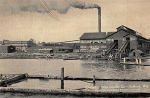 SAWMILL OF PAINE LUMBER COMPANY OSHKOSH WISCONSIN POSTCARD (c. 1910) | eBay
