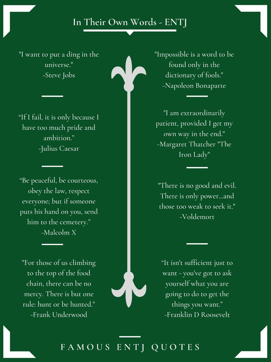 Entj Meaning ENTJ Career Interests, Career Matches, And Careers To