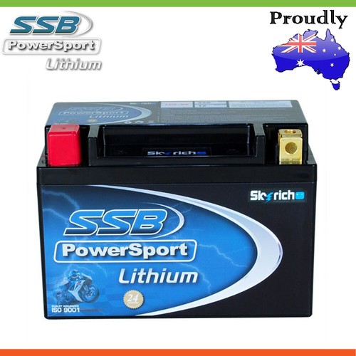 SSB 12V High Performance Lithium Ion Phosphate Battery For BMW HP2 ...
