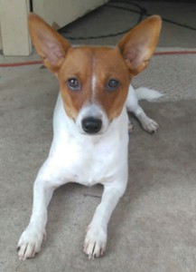 David Naiman | eBay Stores