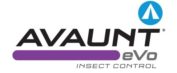 Avaunt Evo Insecticide - 30 Ounces NO SALES:CA | eBay