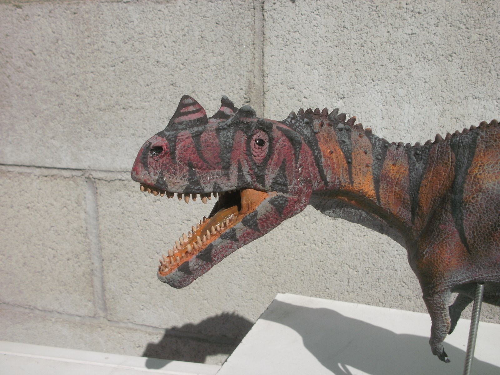 LARGE DINOSAUR HOBBY KIT, 1/10 CERATOSAURUS, BIG UNBUILT Resin Model ...
