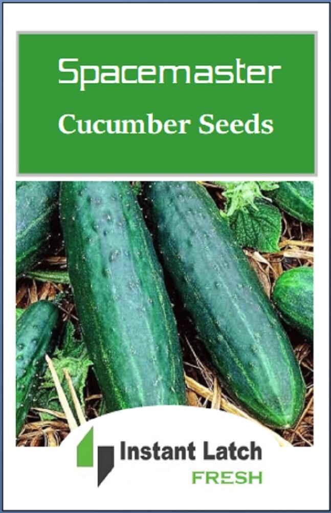 Spacemaster 80 Cucumber Seeds | NON-GMO | Heirloom | Fresh Garden Seeds ...