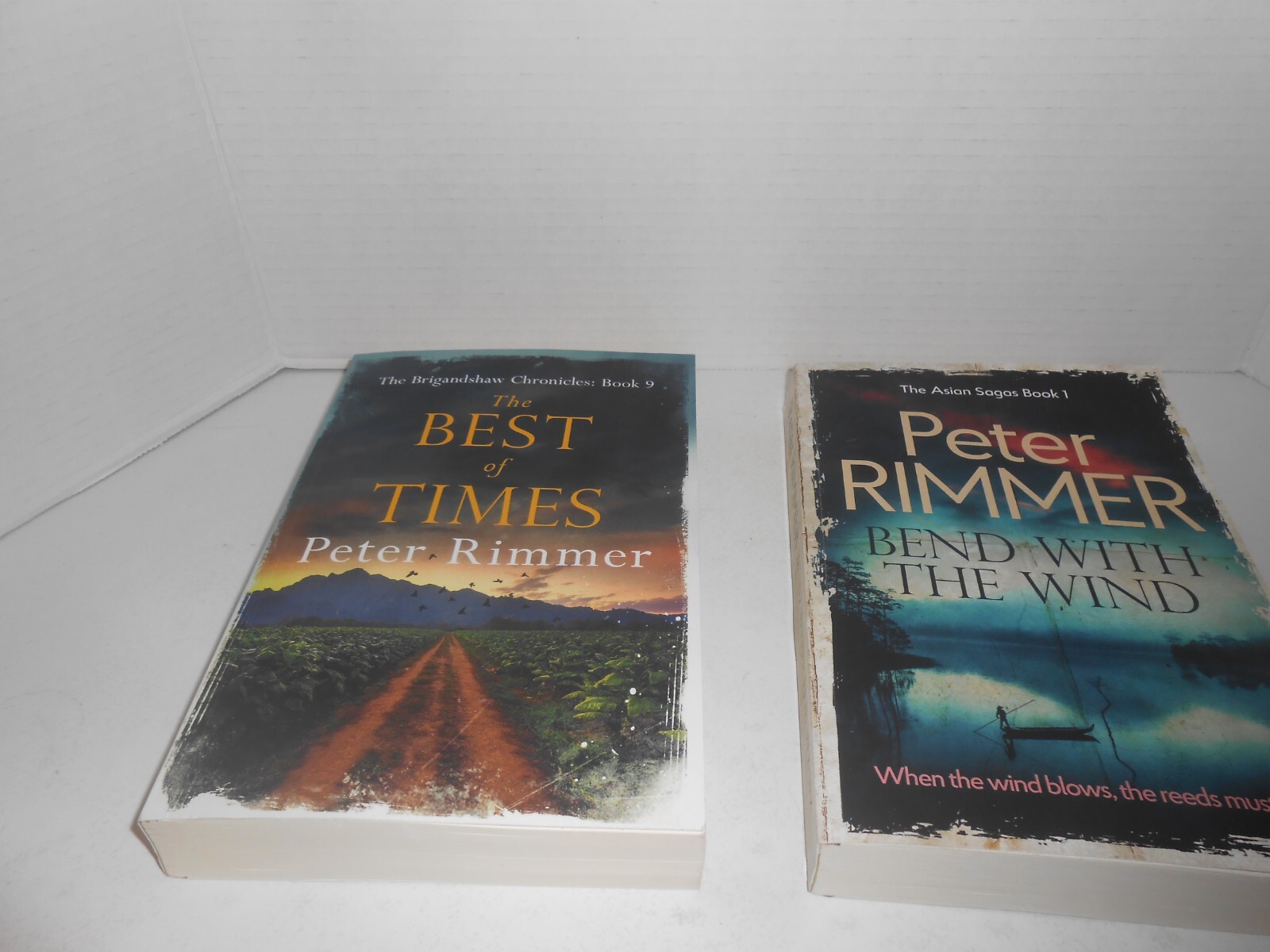 Create your own lot of Peter Rimmer Books, Echoes from the Past | eBay
