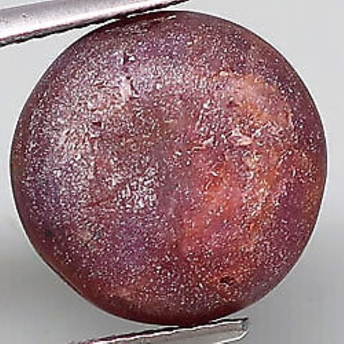 16.80 Ct Natural Purplish Red 6 Ray Star Ruby Unheated Oval Cab Loose ...