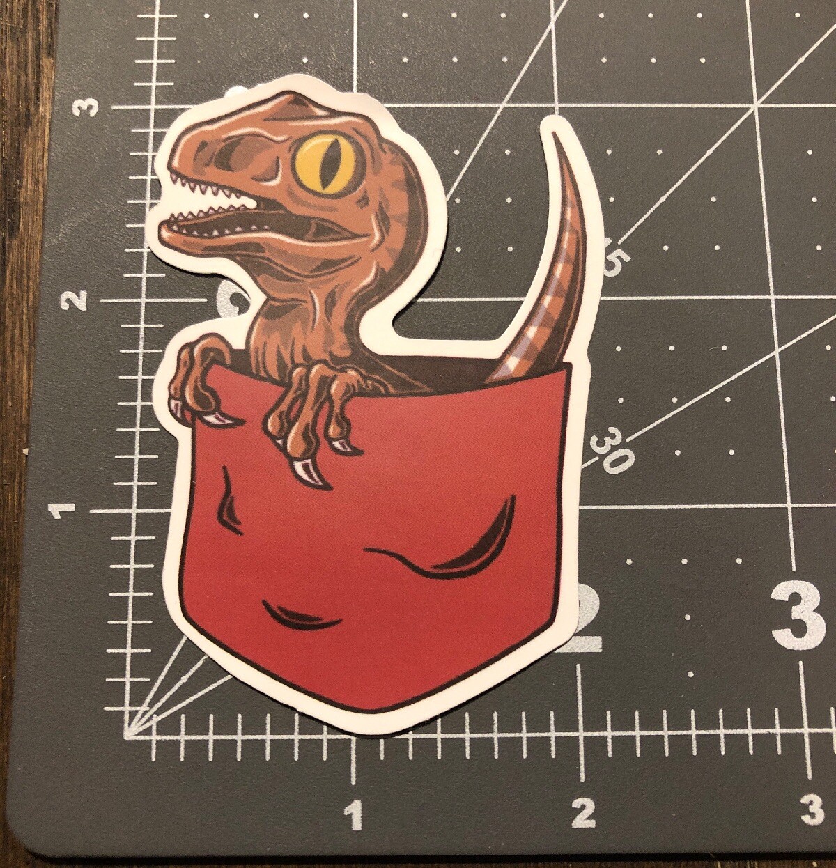 Hide And Seek Raptor Humor Skateboard Laptop Guitar Decal Stickers B7G ...