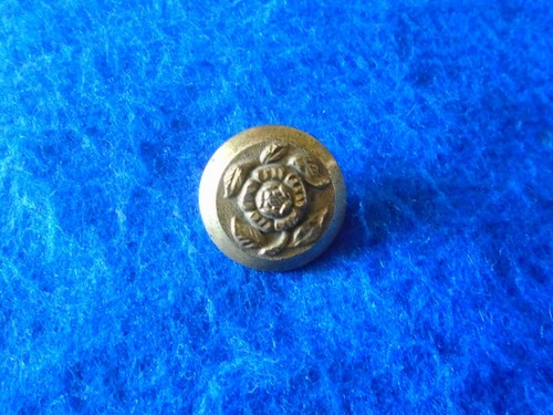 UNKNOWN EARLY 22.5MM BRASS BUTTON, ROYAL NAVY, NAVAL? TREBLE STANDARD ...
