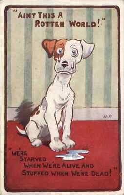 Dog Comic Starved Alive Stuffed Dead c1910s Postcard | eBay