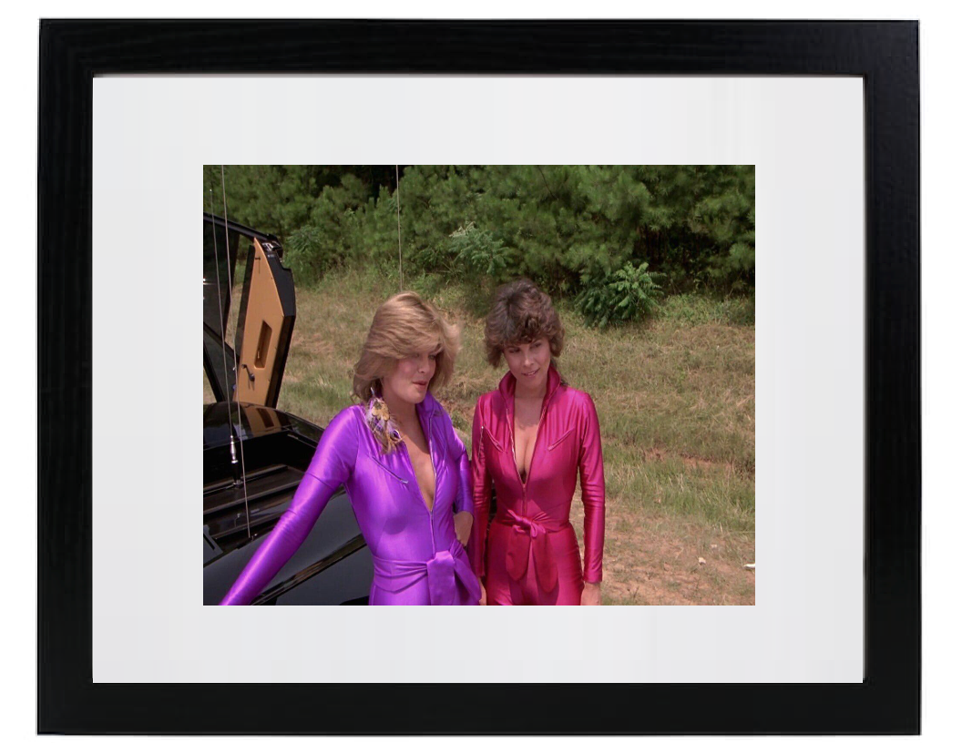 ADRIENNE BARBEAU TARA BUCKMAN Cannonball Run (#3) Matted & Framed ...