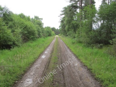 Photo 6x4 Culbin Forest Cloddymoss A well used track near Low Wood in ...