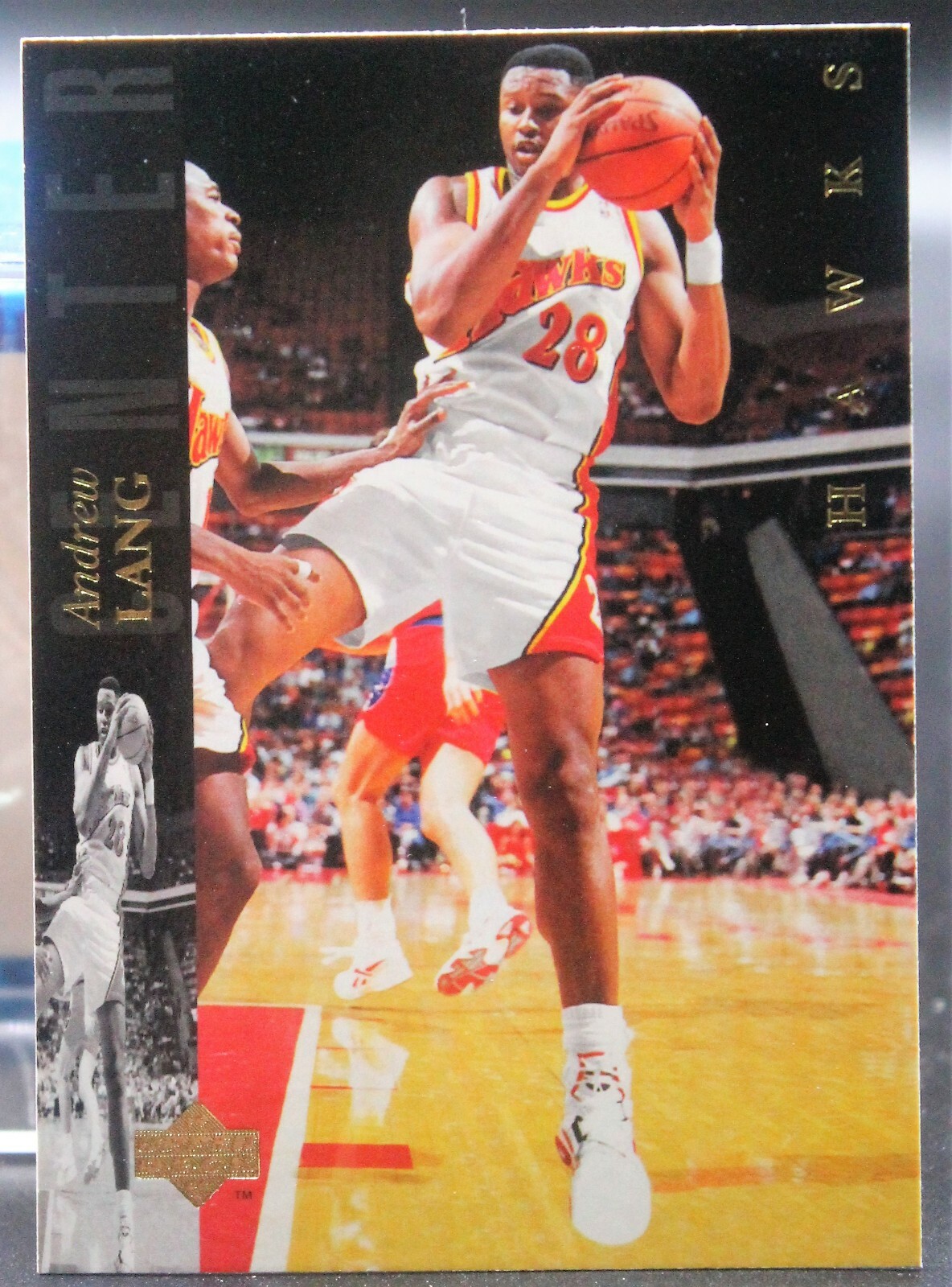 Andrew Lang (Hawks/Arkansas Razorbacks) 1993-1994 Upper Deck #176 | eBay