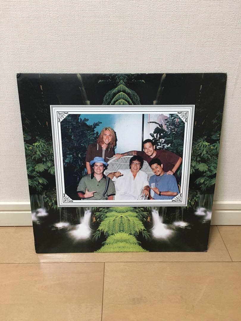 Nofx / Hofx 12" Picture Disc 1995 Us Limited 1000 Fat Wreck Chords ...