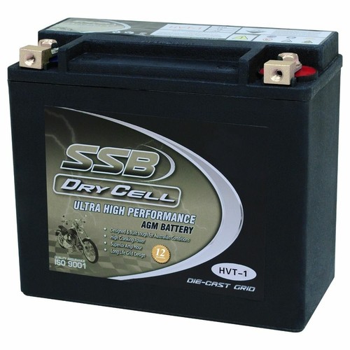 12V 450CCA HARLEY DAVIDSON AGM BATTERY HVT1 YTX20HL-BS OEM Part # 65989 ...