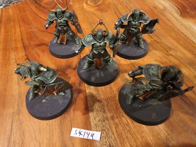 Warhammer Fantasy AOS Stormcast Eternals Liberators Chaos Nurgle Chosen ...