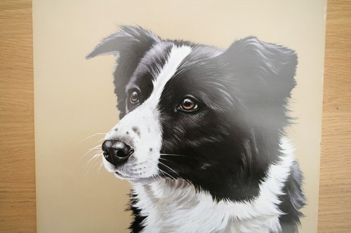 Border Collie Dog Print by Pollyanna Pickering - 40 x 30cm - No 122 ...