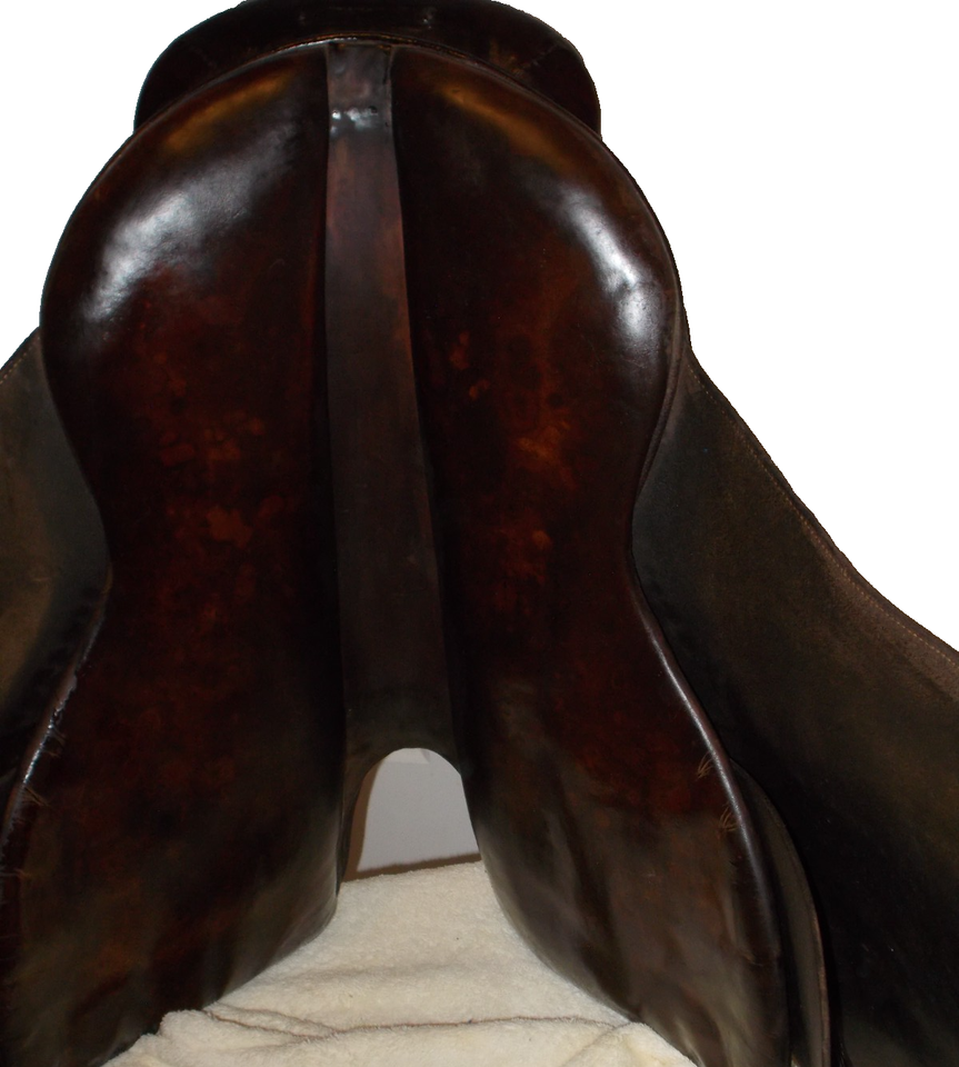 BLUE RIBBON CUTBACK SADDLE 20" | eBay