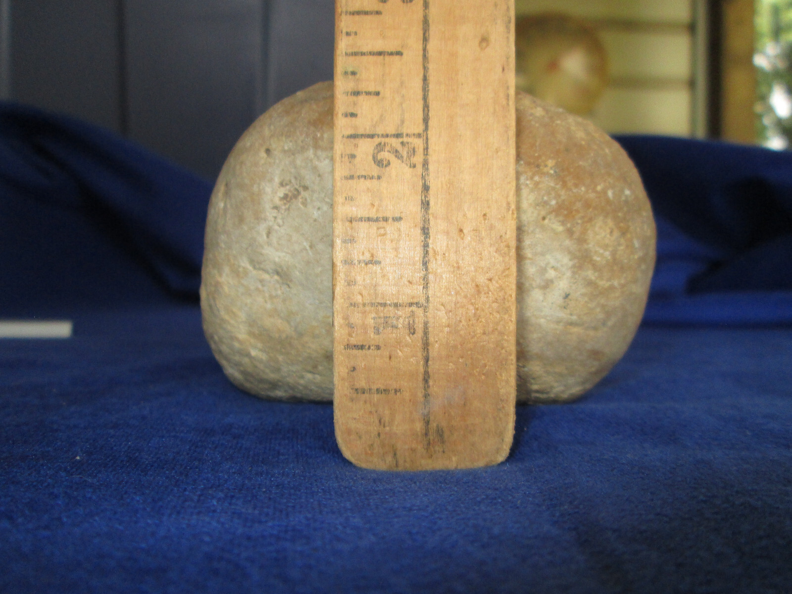 LAKE WACO 1980 Texas Fossil Echinoid Holaster Simplex Cretaceous Age 2 ...