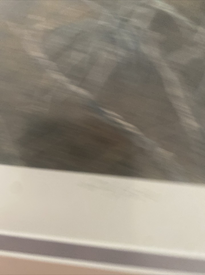 Phil CAPEN First Limited Edition Lithograph Print “American Egret ...