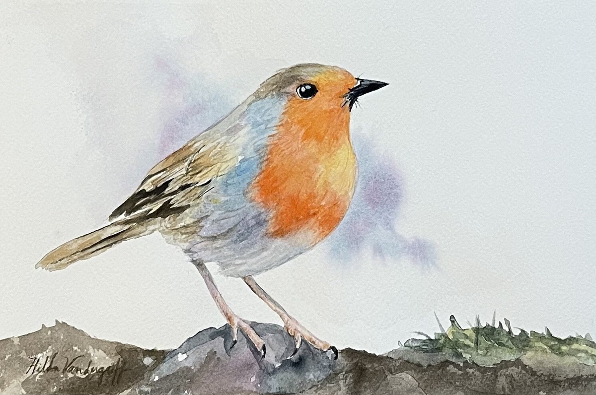 Robin Bird Painting