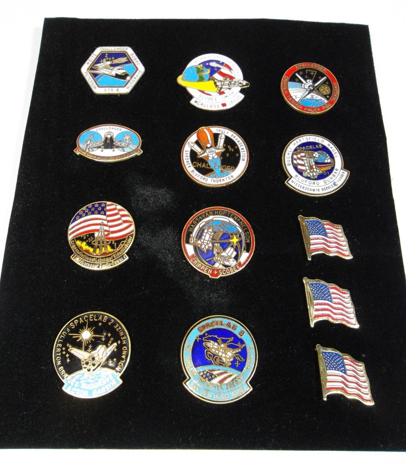 Lot of 10 Official NASA Lapel Enamel Pins Challenger Spacelab + U.S.A ...