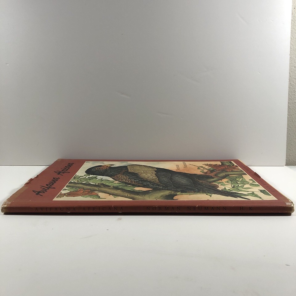 Avifuana Africana 12 Watercolours Of South African Wild Birds | eBay UK