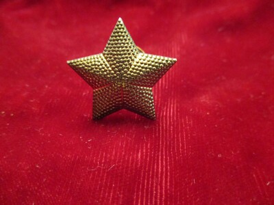Brass Star Pin | eBay