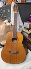 Checkmate Guitar | eBay