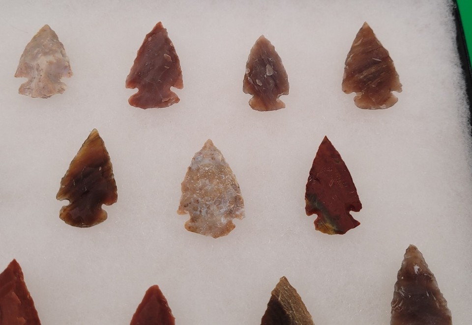 COLLECTION Lot of 24 SMALL GAME ARROW HEADS in DISPLAY BOX Complete! | eBay