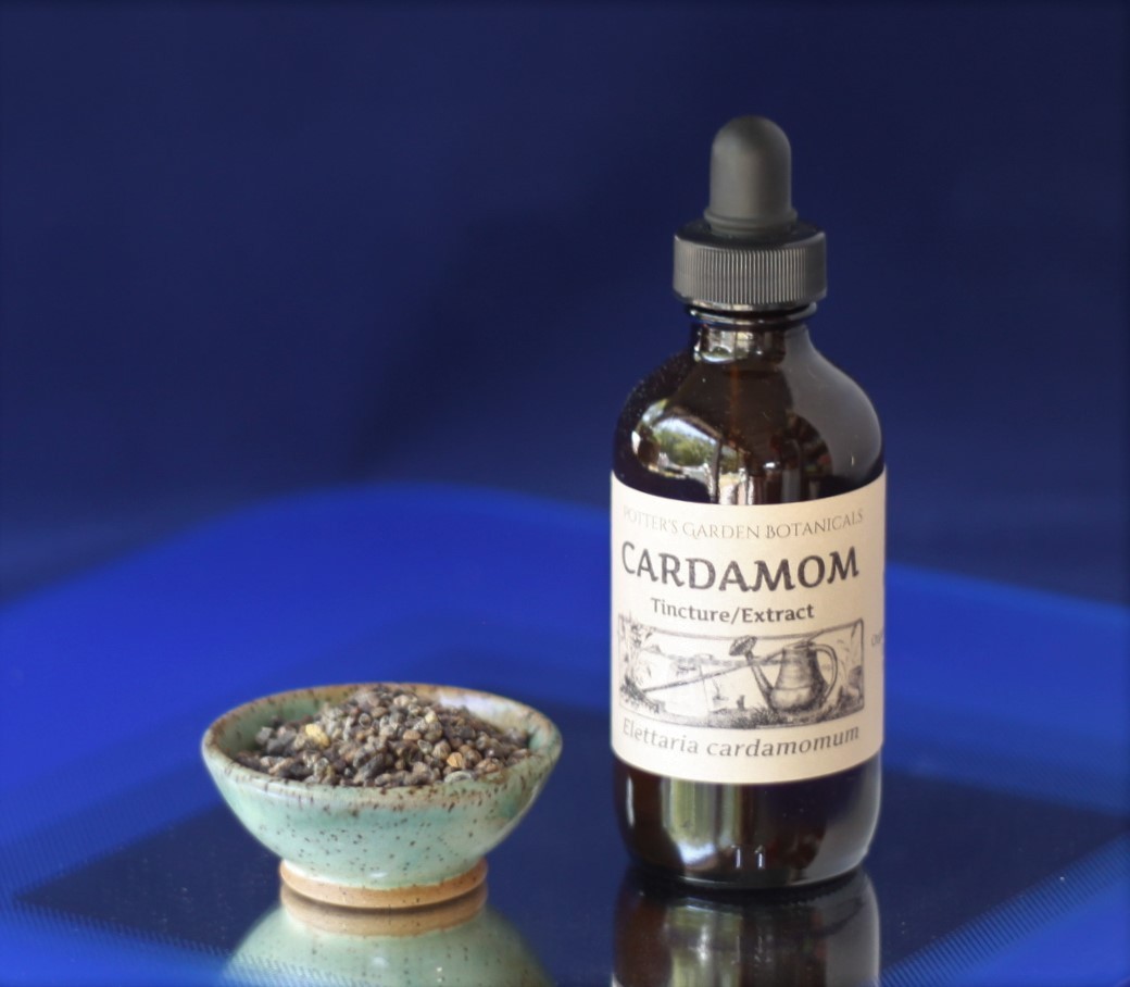 CARDAMOM Tincture Hair Heart Skin Therapeutic Folk Remedy TCM Tincture ...