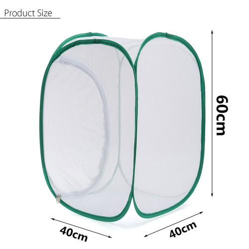 Stick Insect Cage Praying Mantis Butterfly Chameleon Pop-up Housing ...