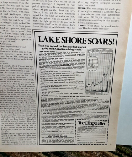 1981 Lake Shore Soars The Dines Letter Original Print Ad 80s | eBay
