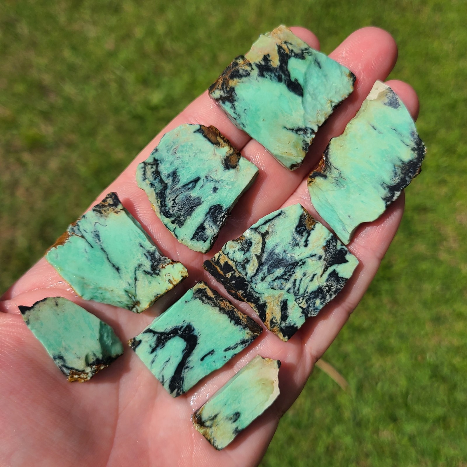 Snowville Variscite Slabs Utah USA 61.6g Collectibles Stone